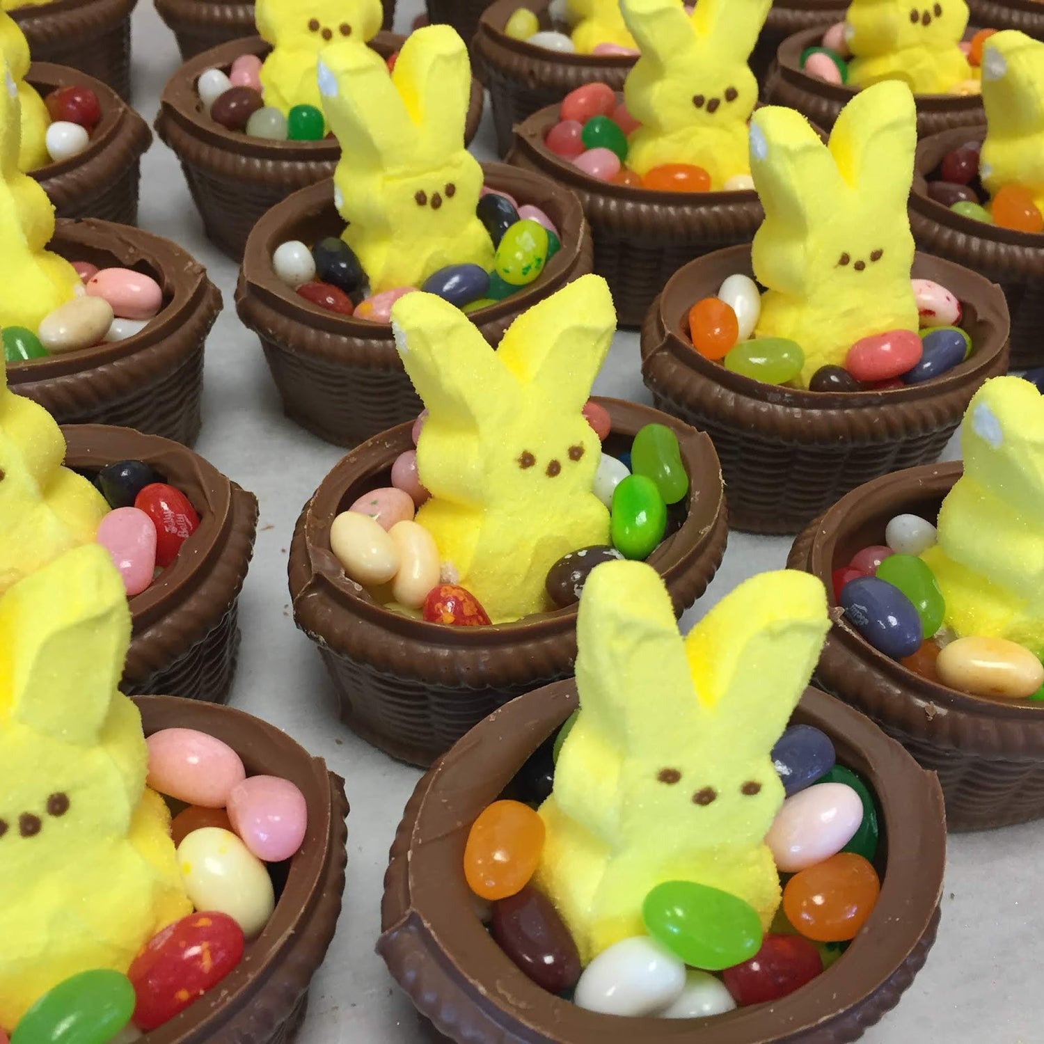 Happy Spring! – Turtle Alley Chocolates